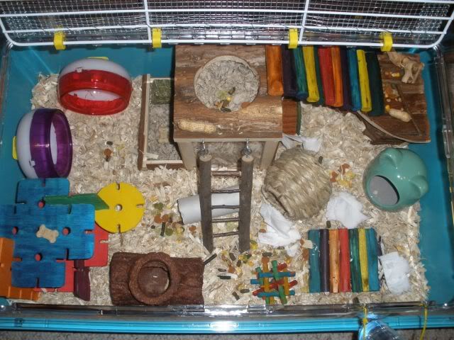 Hagen Zoo Zone 2 - Cage Review - Page 2 - Hamster Central